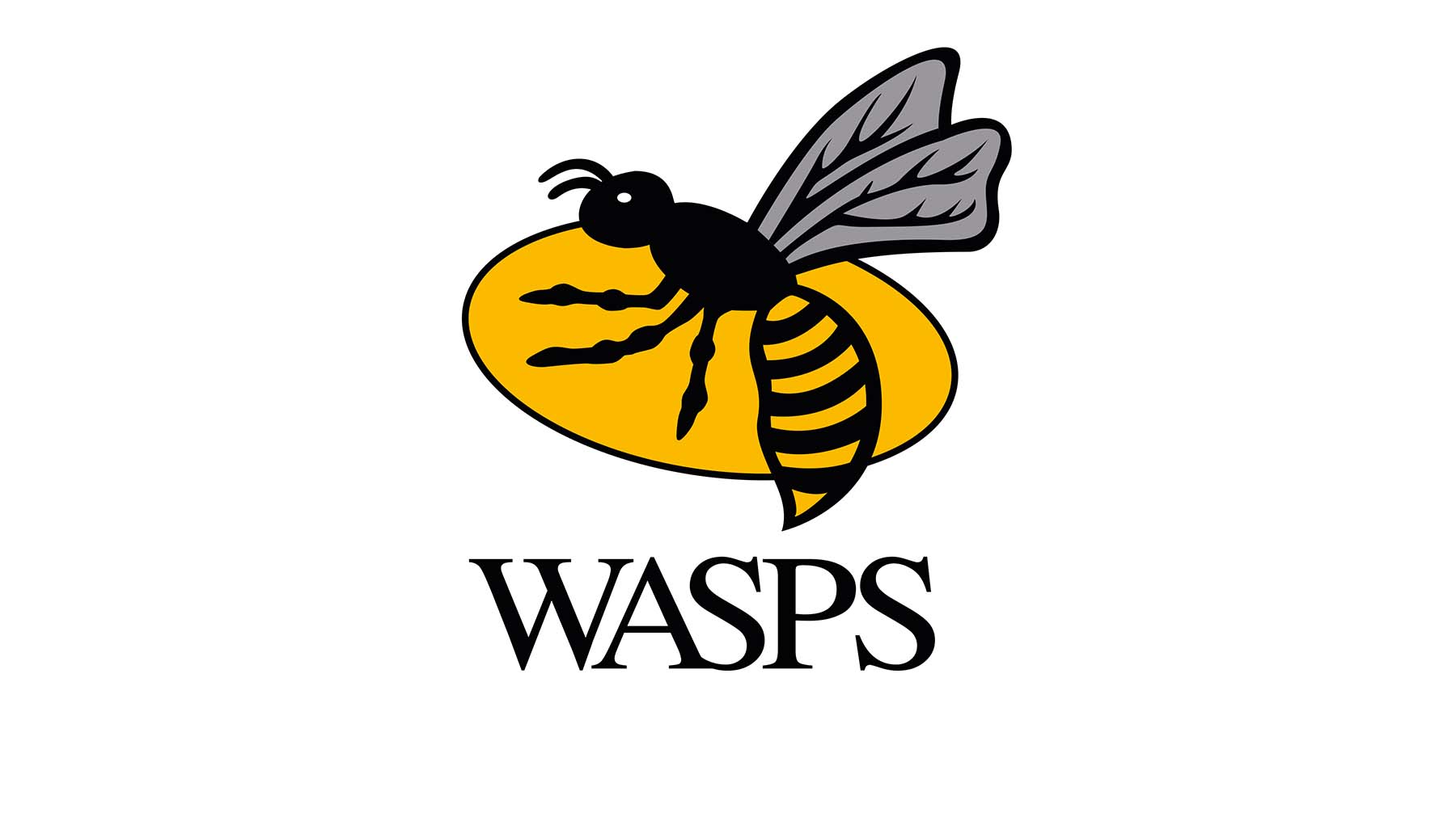 Epsilon Bags Silver in DMA Awards for Wasps RFC | AdWorld.ie