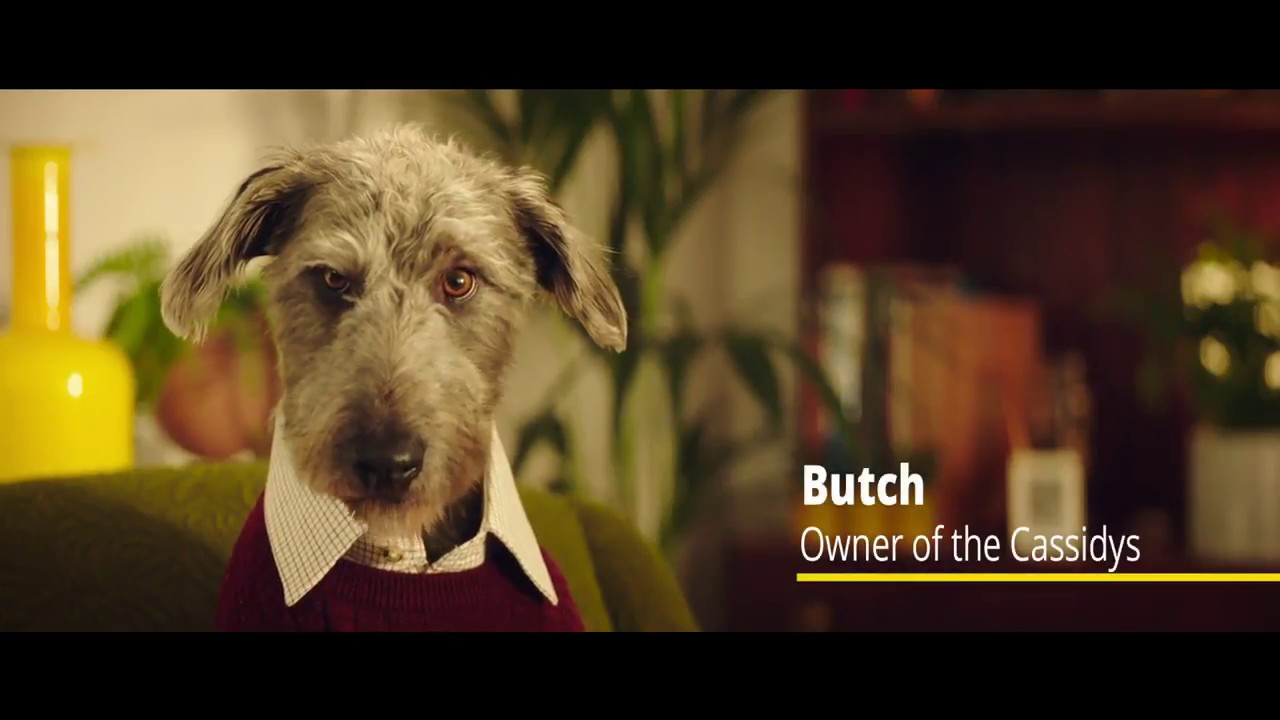 A A Advert Dog