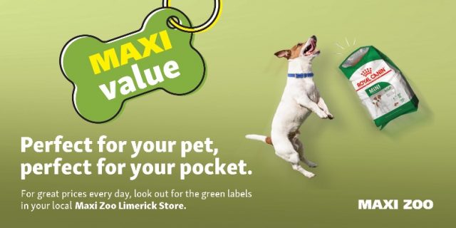 Mindshare Retains Maxi Zoo and Launches New Campaign | AdWorld.ie